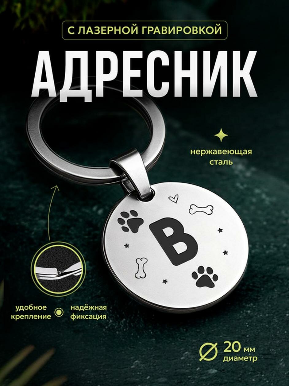 Адресник для собаки и кошки, круглый, серебристый, английская буква B