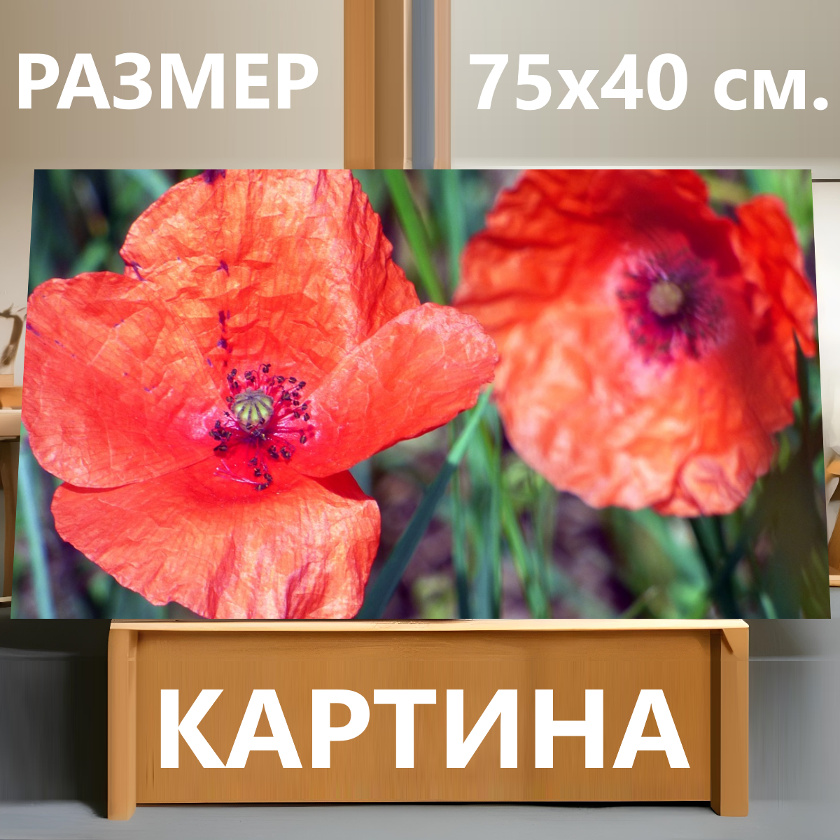 Картина на холсте "Маки, цветок, поля" на подрамнике 75х40 см. для интерьера