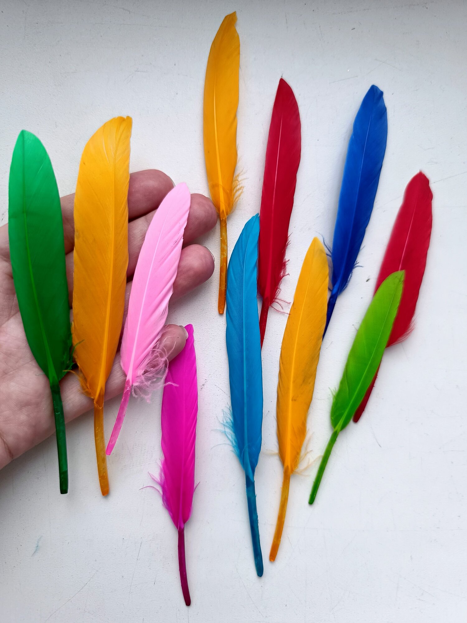 Гусиные перья. 10 шт. 8-15 см. Микс. Товары Для декора и рукоделия. ПероМарго