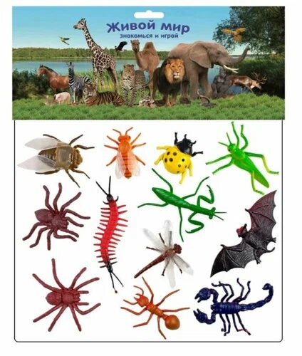 Набор для развития и обучения "Животные", скорпион/муравей/жук, 12 шт