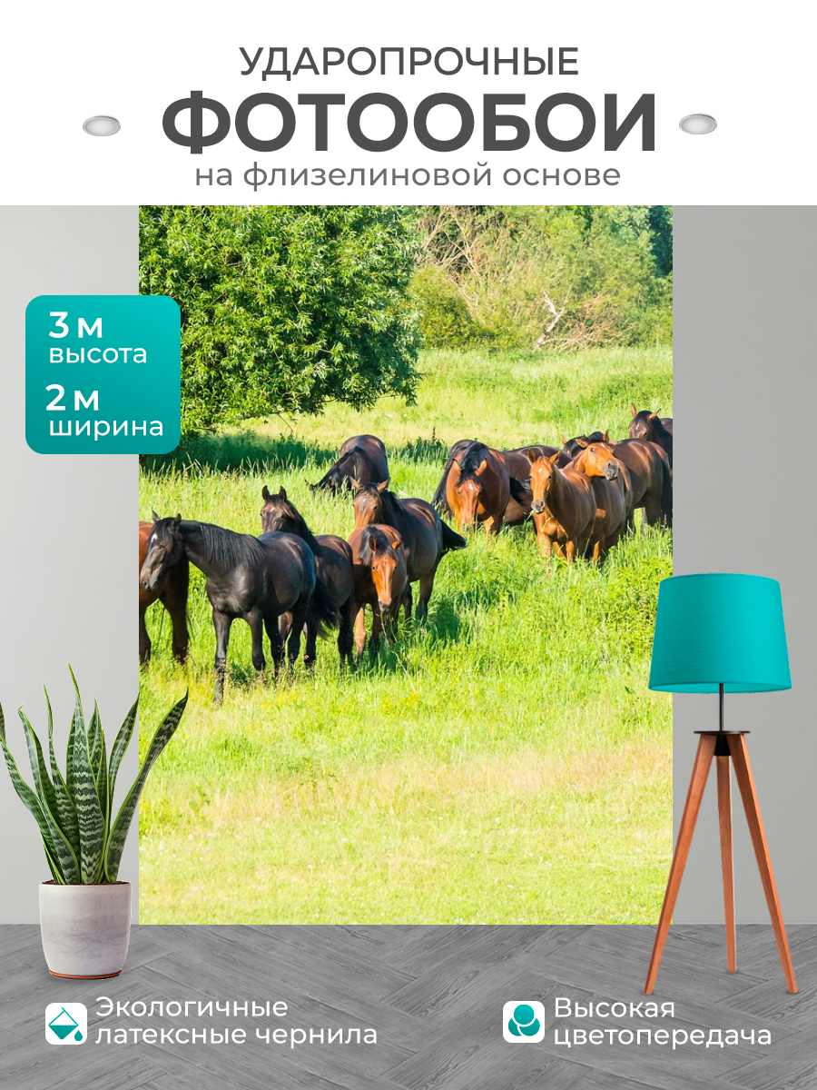 Фотообои моющиеся ударопрочные "Лошади, табун лошадей, луг" 200x300 см. флизелиновые на стену