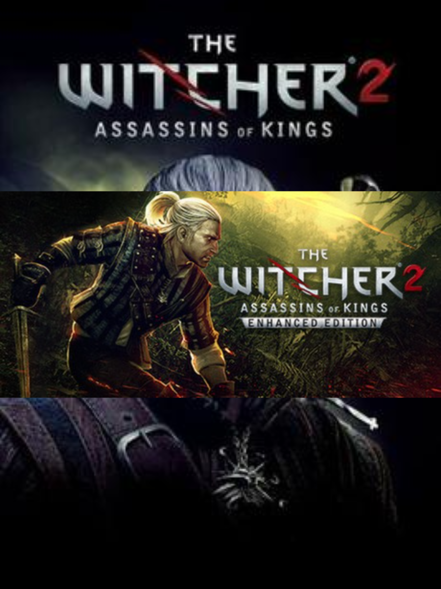 Игра The Witcher 2 (RU) для Steam PC (ПК) СНГ Steam GIFT