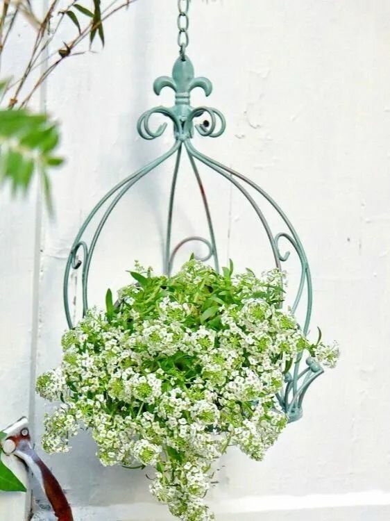 Эксклюзивная декоративная клетка