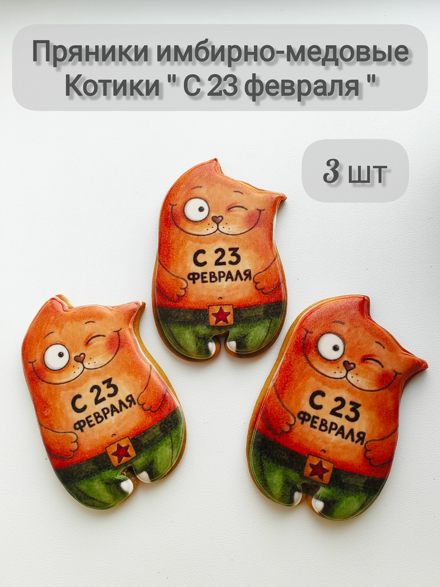 Пряники имбирно-медовые Котик, С 23 февраля. 3 штуки.