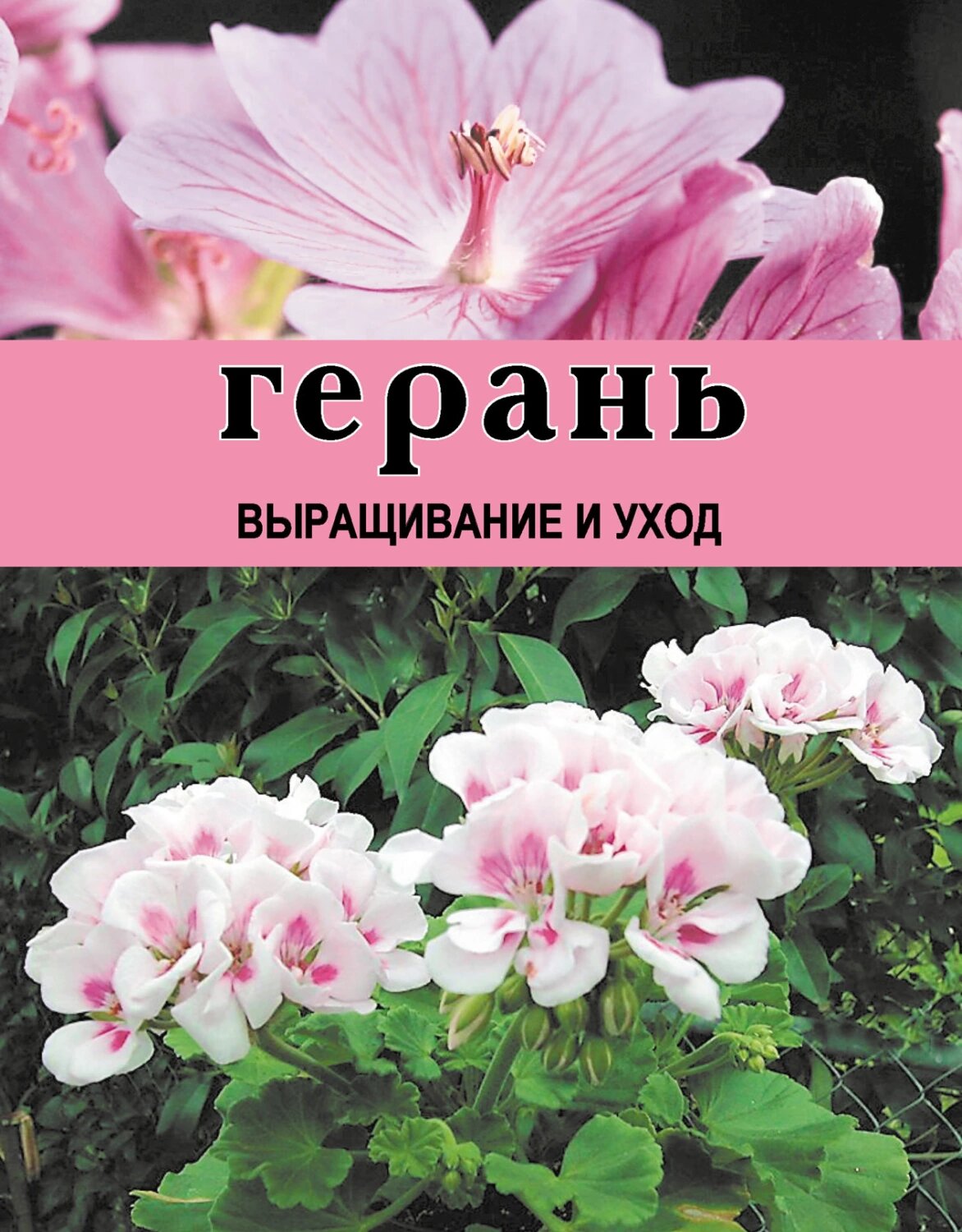 Герань. Выращивание и уход [Цифровая книга]