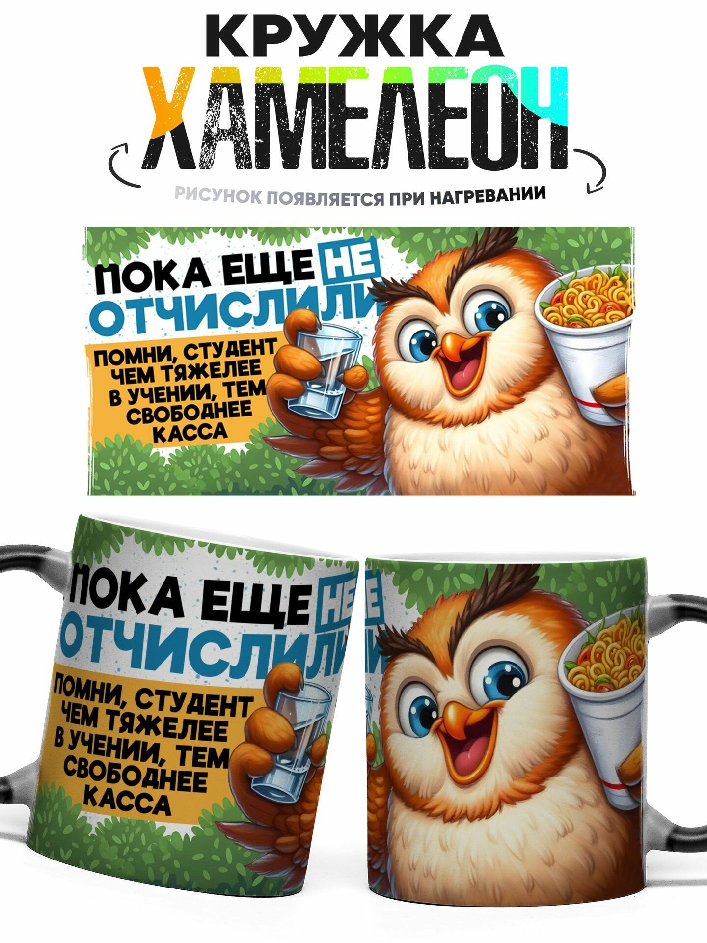 Кружка хамелеон Сова Пока еще не отчислили 330 мл