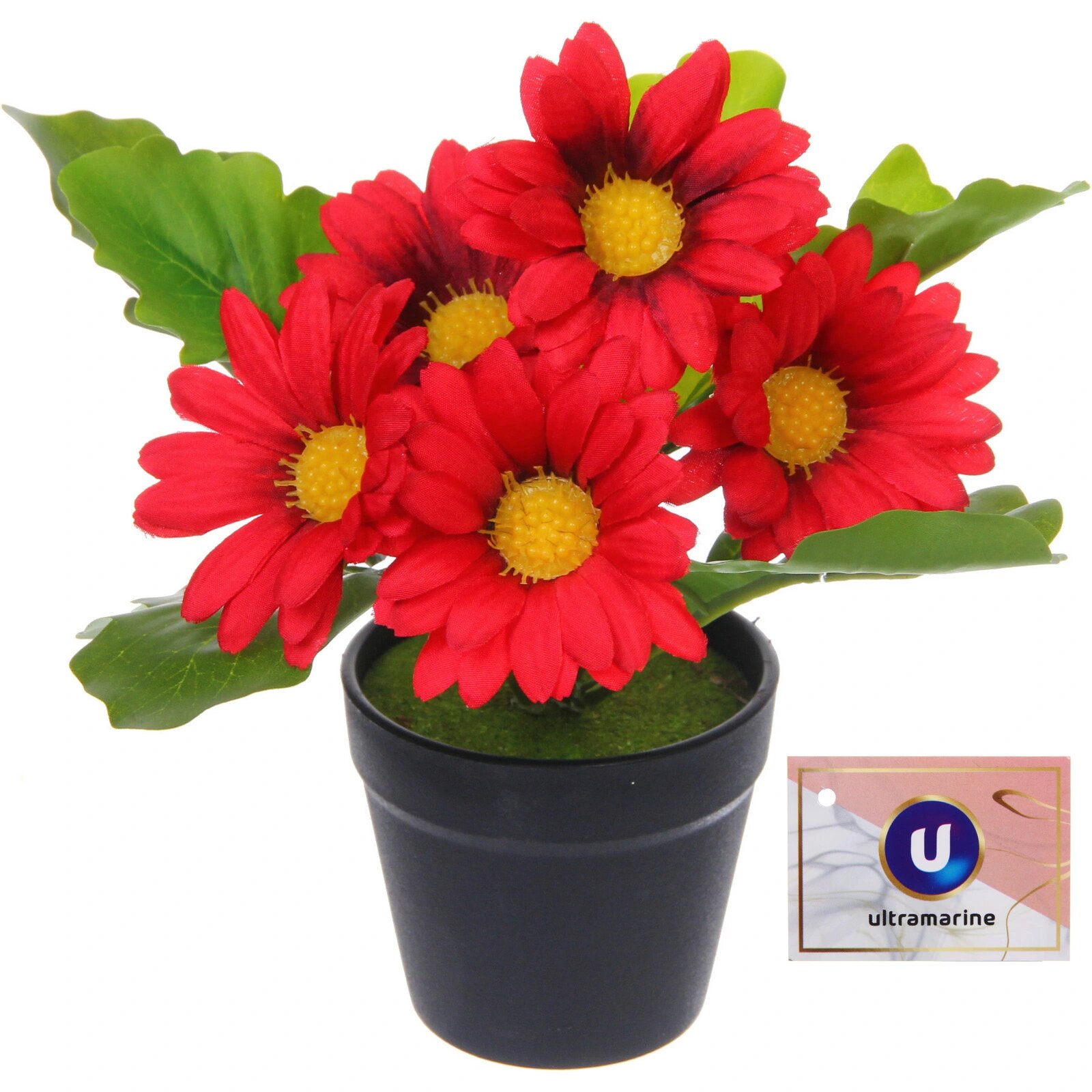 Искусственная хризантема в горшке "Поцелуй лета", красная, 20 см, пластик, полиэстер