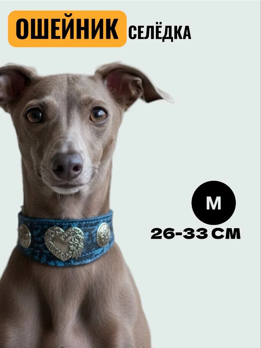 Dogbond ошейник-селедка для малых и средних пород