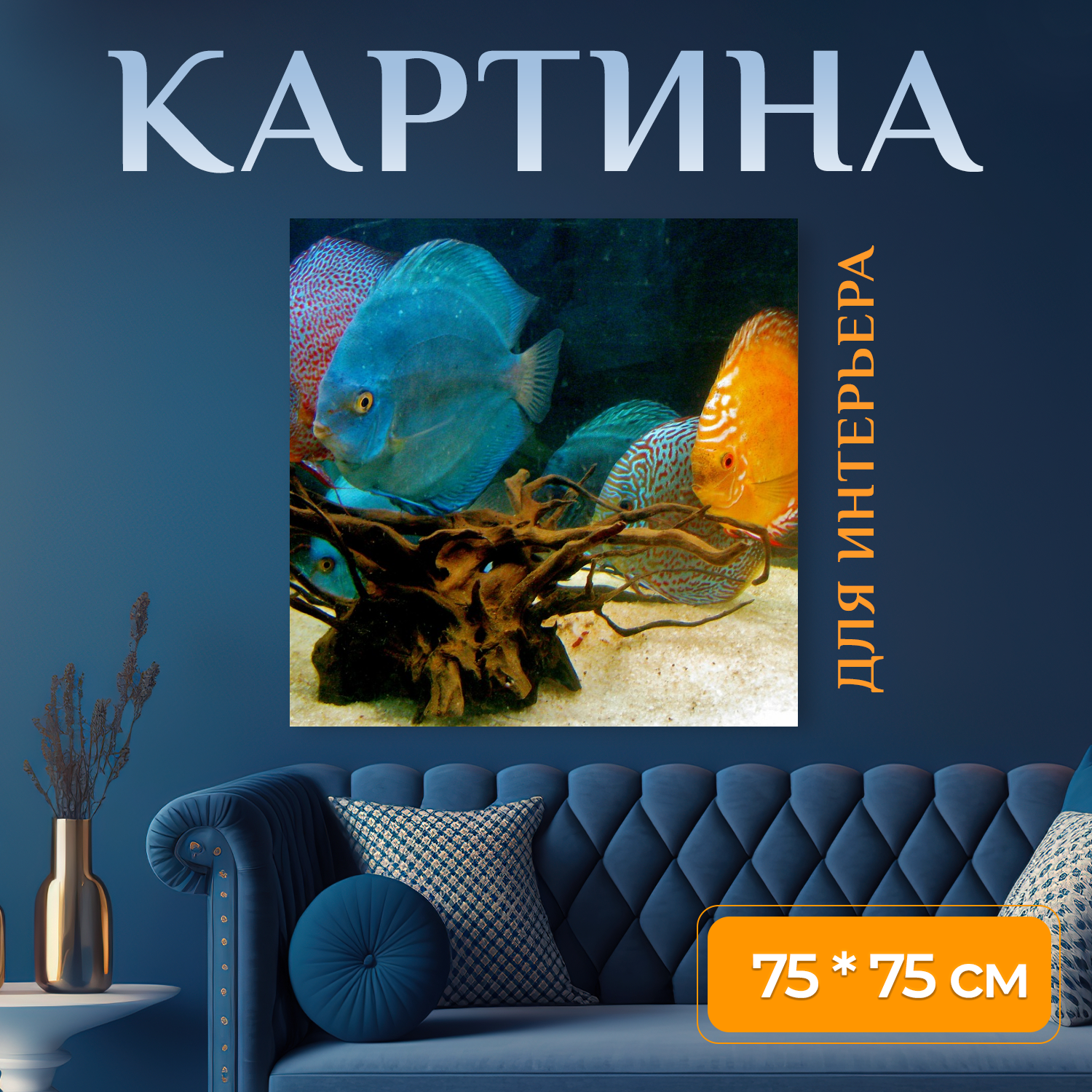 Картина на холсте "Дискус, рыбы, аквариум" на подрамнике 75х75 см. для интерьера