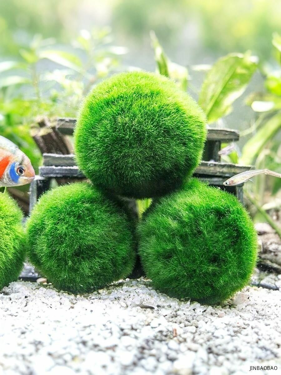 Эксклюзивный декор аквариумный 15 см