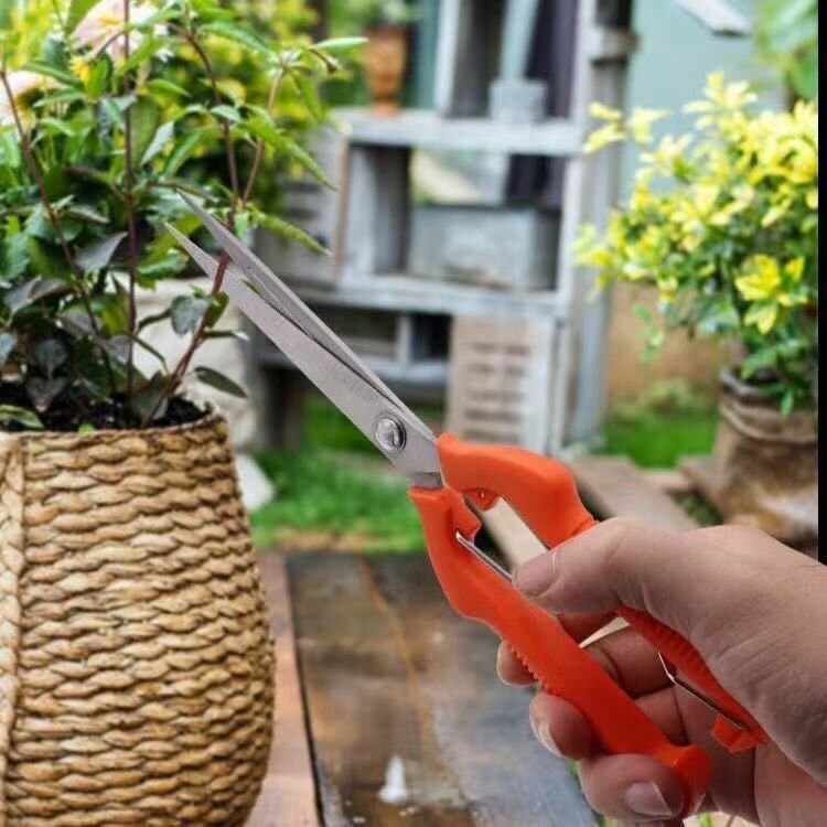 Садовые ножницы, секатор для цветов, кустарников, комнатных растений, дачи, сада и огорода, флористические.