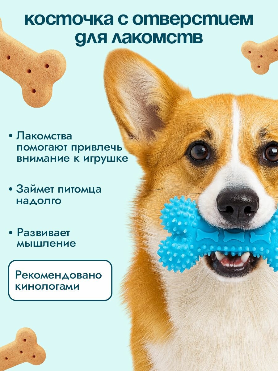 Игрушка для животных — фото 1