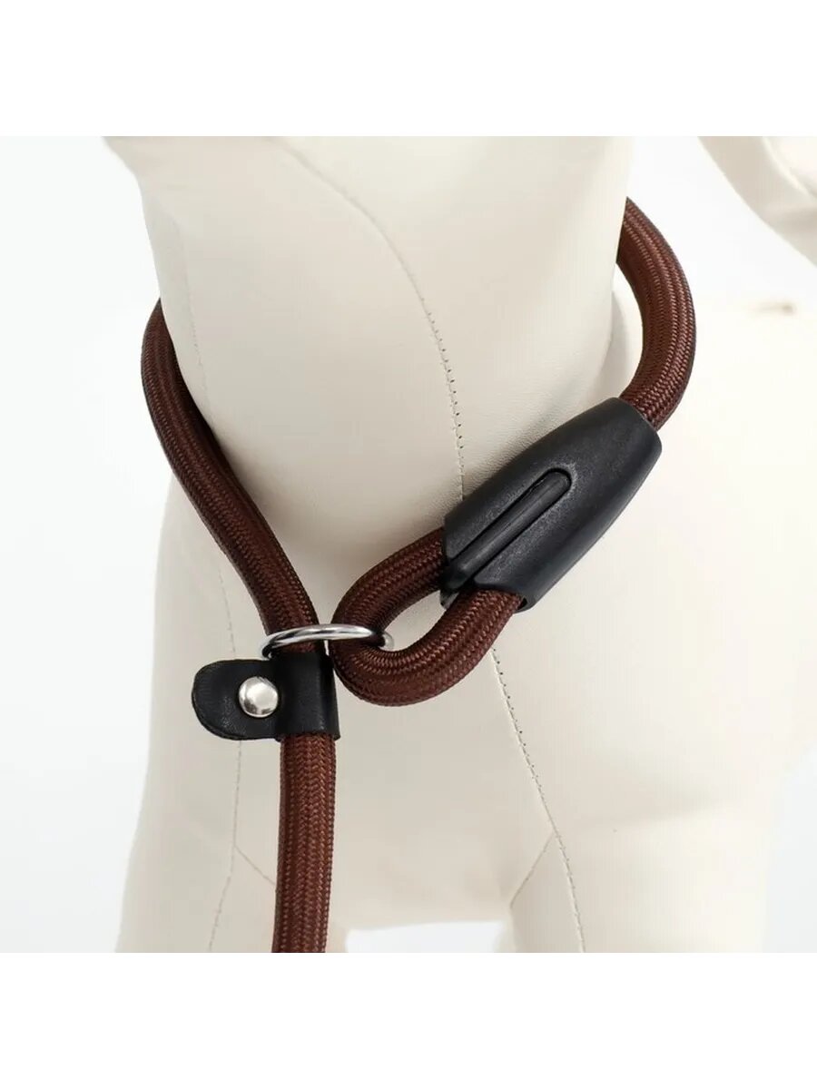 Стильная коричневая ринговка для собак