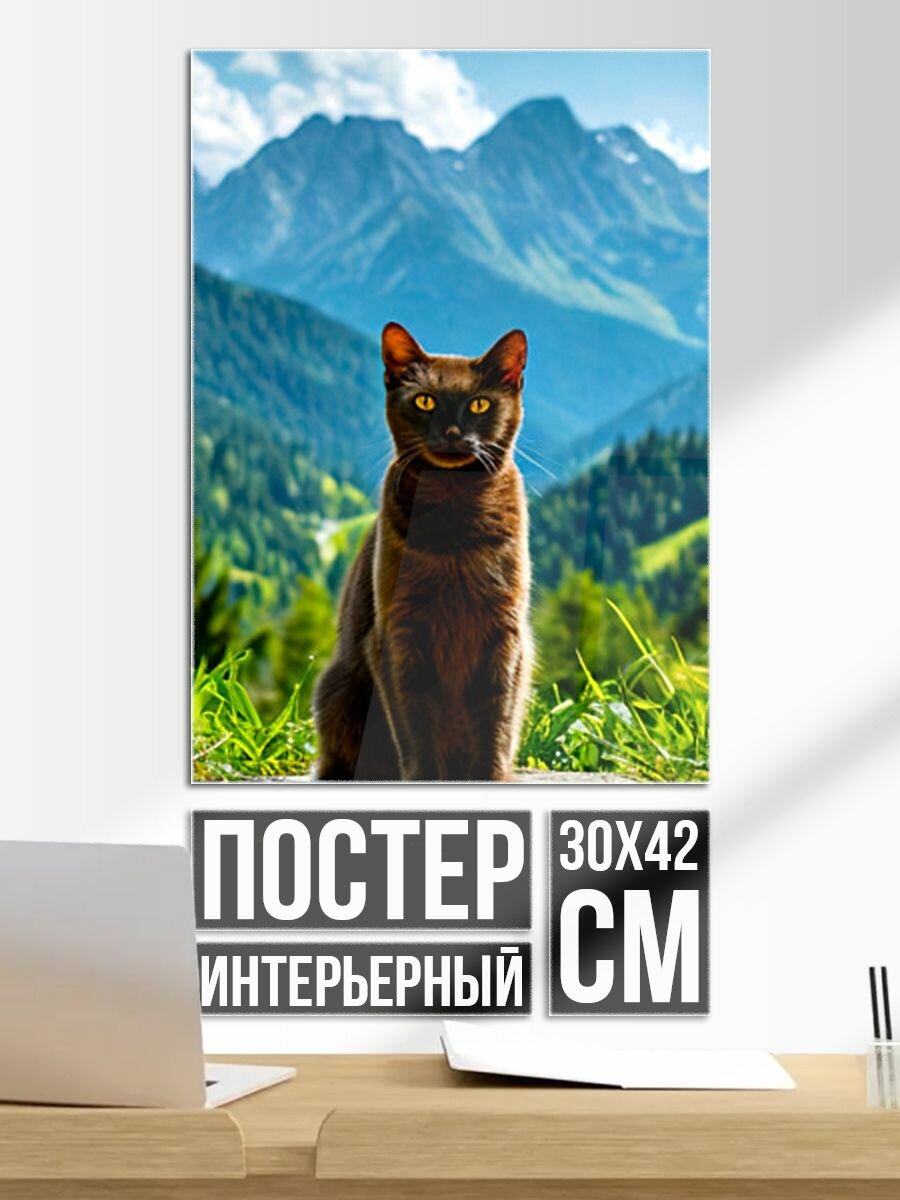 Постер на стену Бурма летом в горах