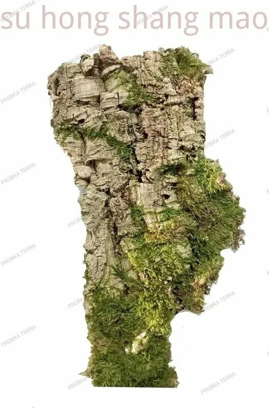 Блоки из пробковой коры для растений, террариума, флорариума, орхидариума ширина 150мм, длина 200мм