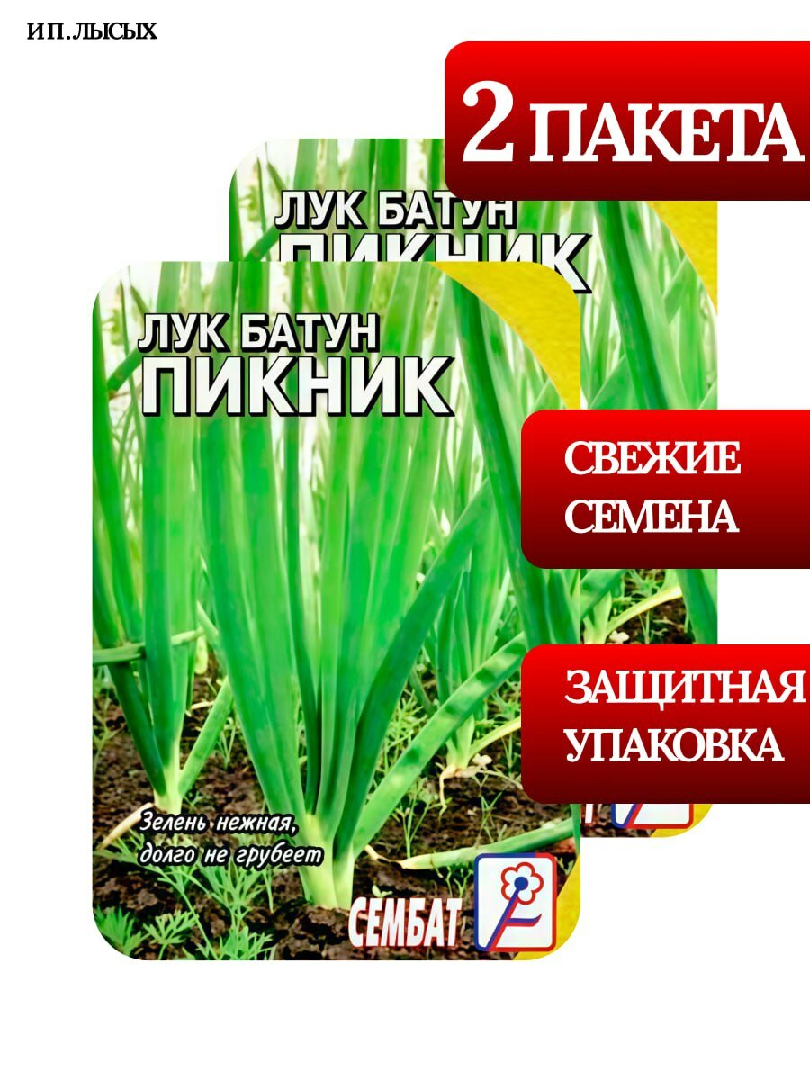 Семена Лук батун "Пикник", 1 г
