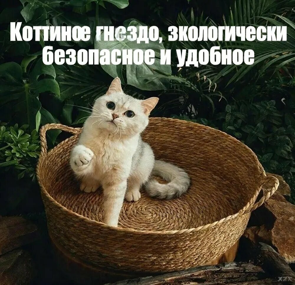 Эксклюзивный луг питомца