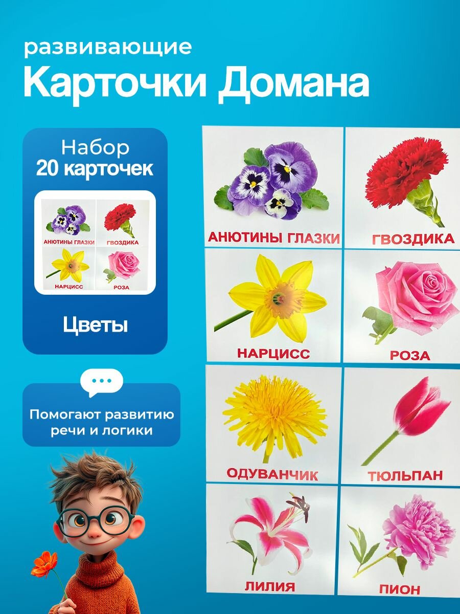 Комплект карточек Цветы 20шт. по методике Г. Домана