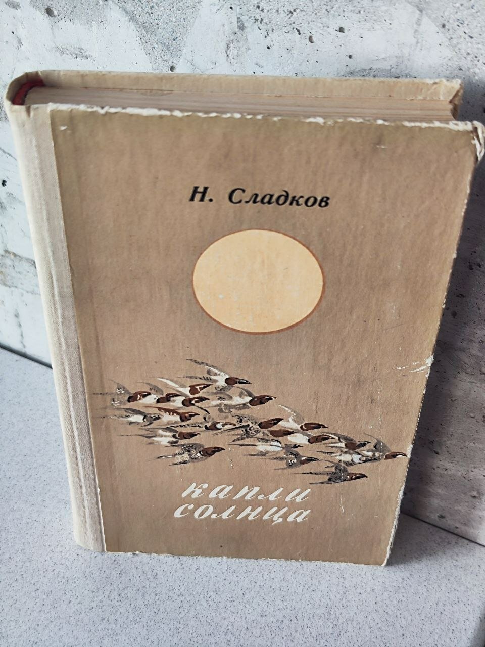 Капли солнца