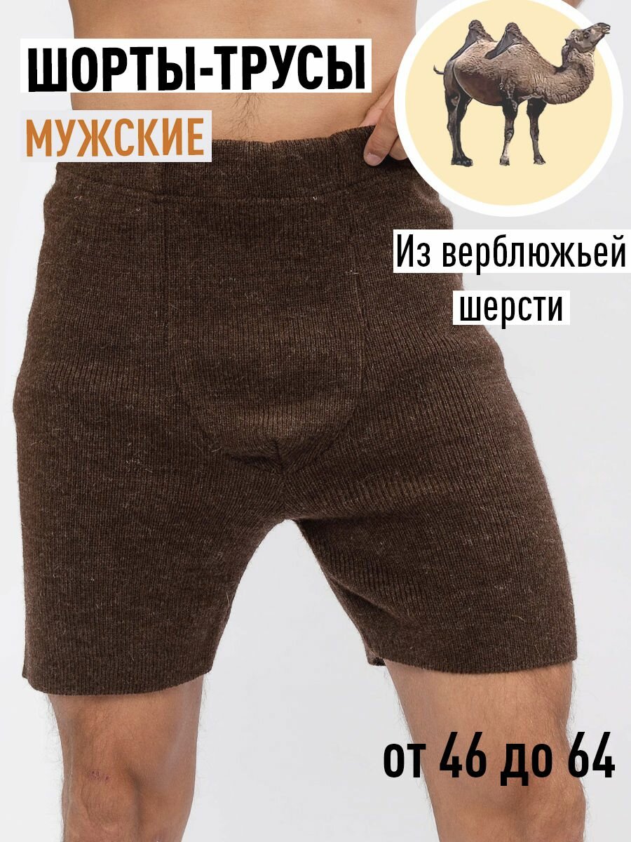 Термошорты Осень-зима 2023