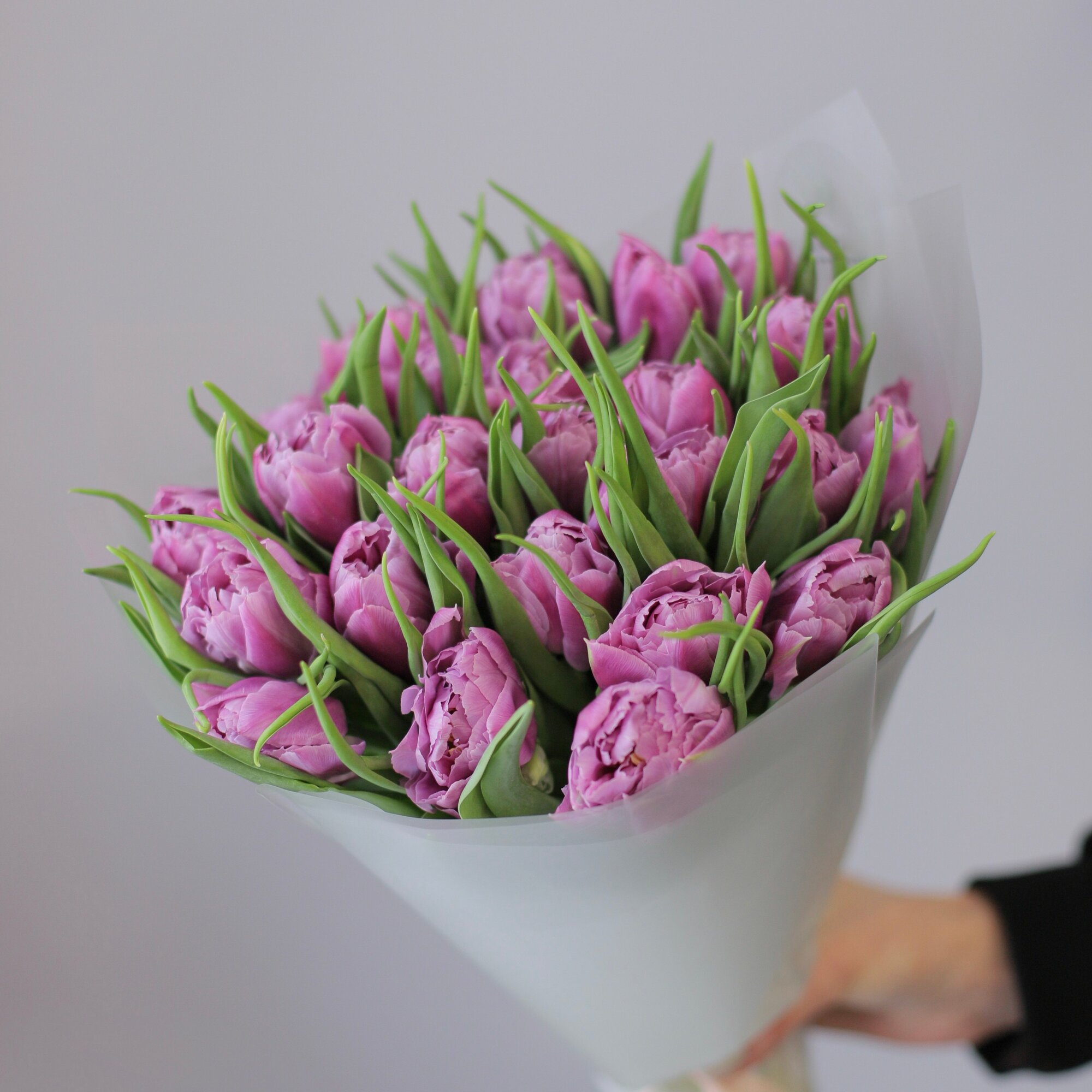 Букет живых Пионовидных тюльпанов, лавандовых. 21 штук