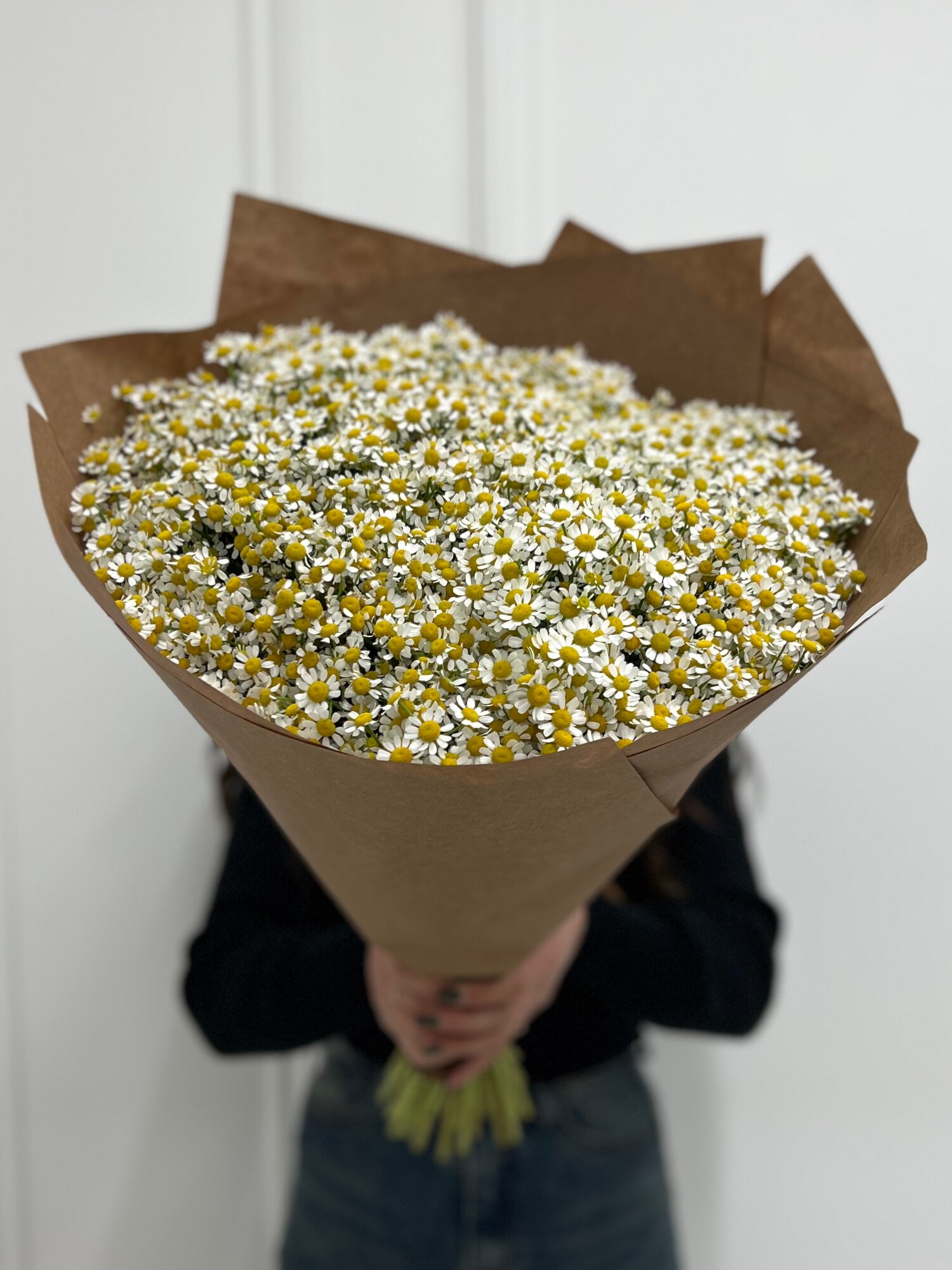 Гламелия цветы 55 ромашки - танацетум крафт – заказать с доставкой