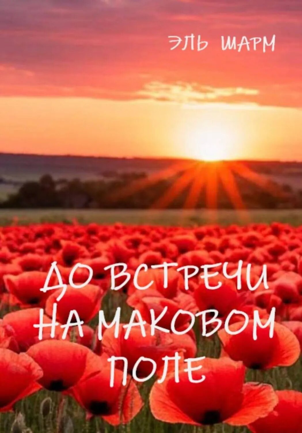 До встречи на маковом поле [Цифровая книга]