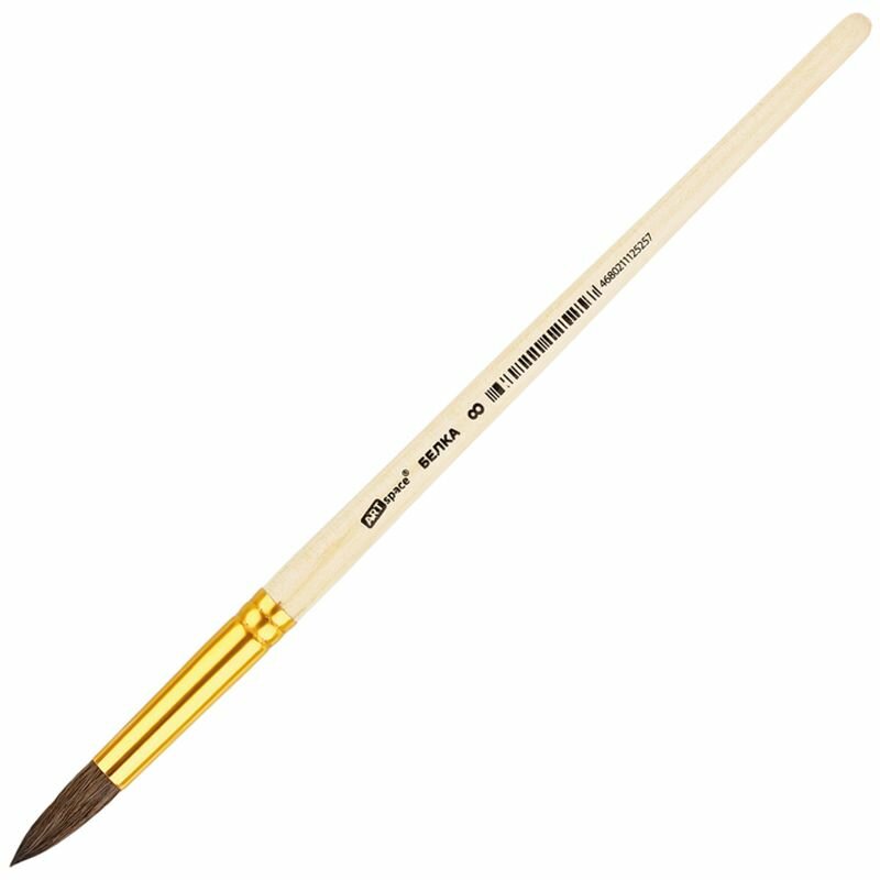 5 кистей ArtSpace "белка" №08 круглая (SH8_14525)