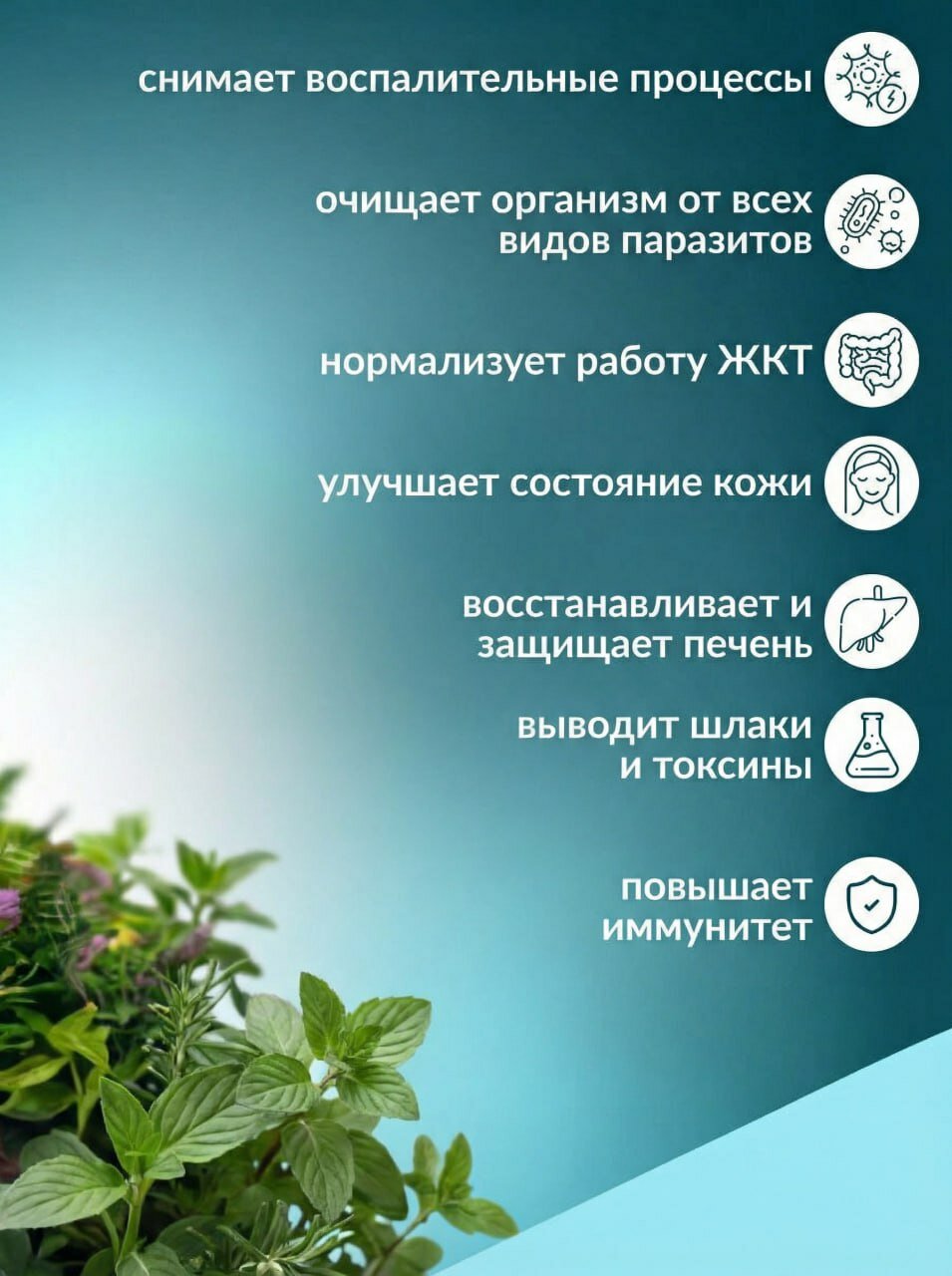 Травяной комплекс "Добавь Алтай", натуральный, против паразитов, 60 капсул — фото 1