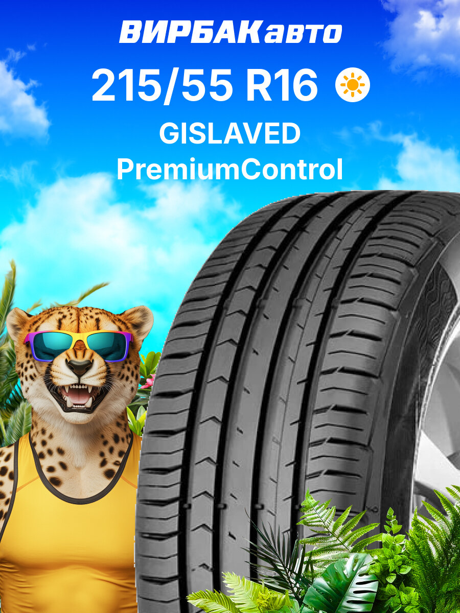 Летние шины GISLAVED PremiumControl 215/55 R16 93V