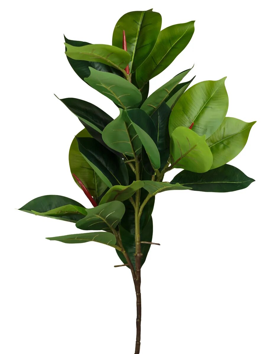 Цветы искусственные Фикус Эластика 100 см
