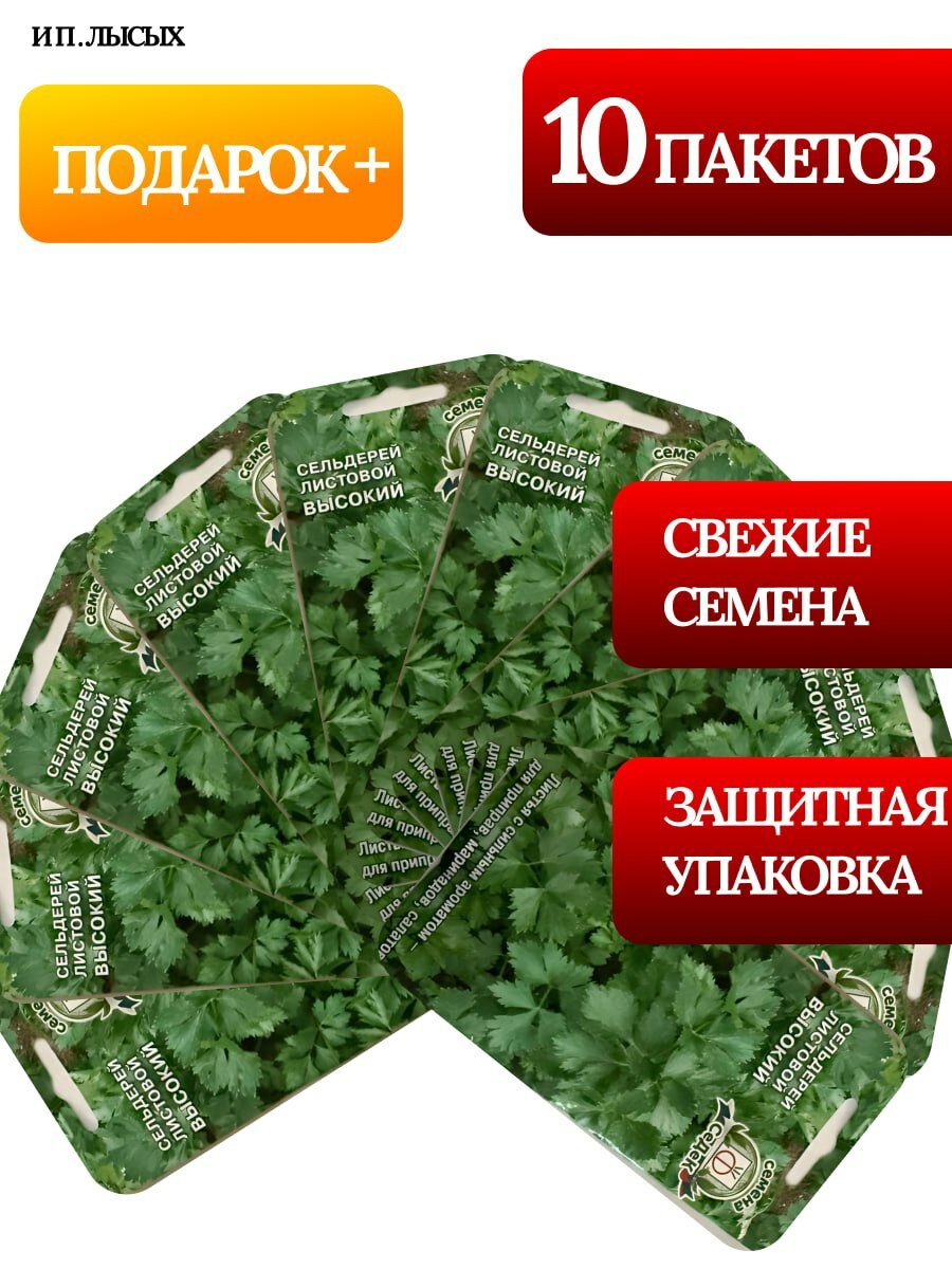 Семена Сельдерей "Высокий"