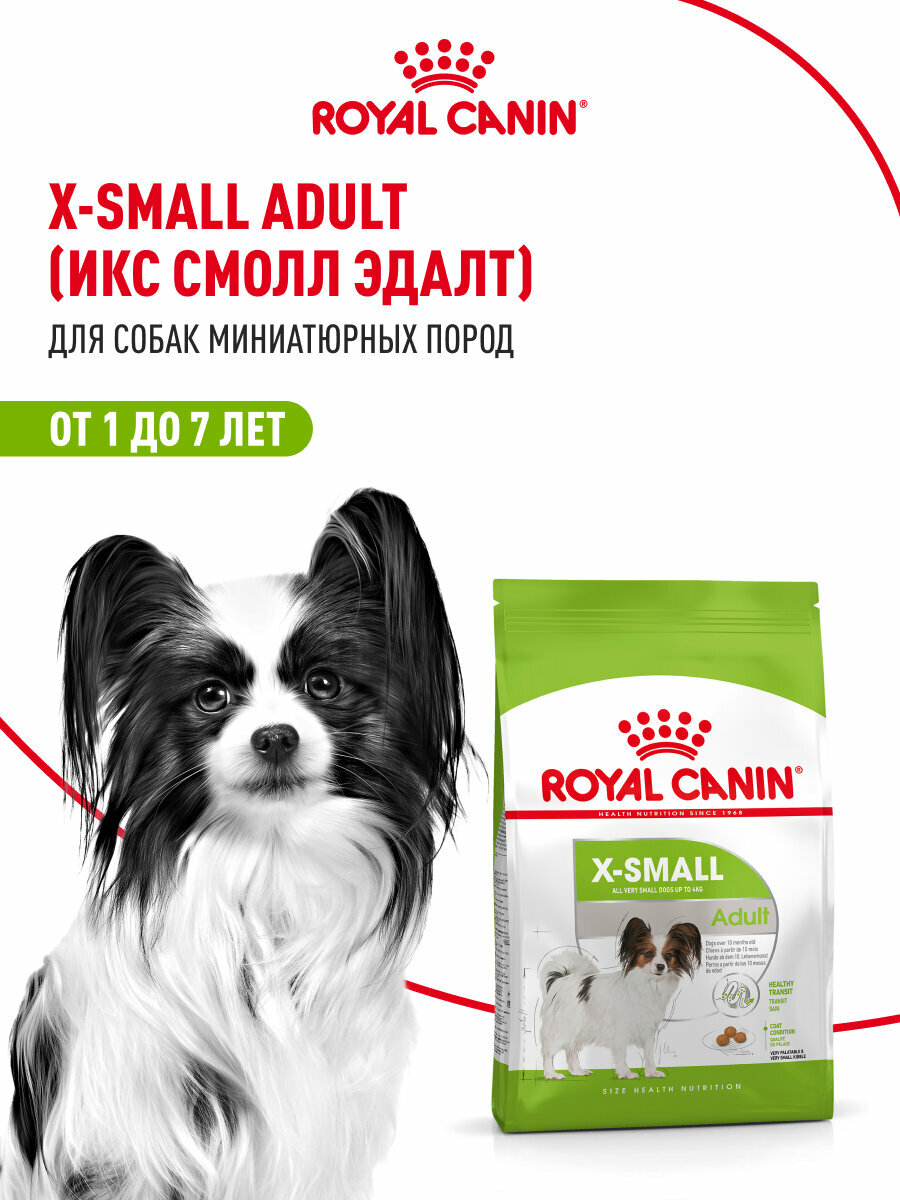 Сухой корм для собак Royal Canin X-Small Adult для миниатюрных пород, 500 г