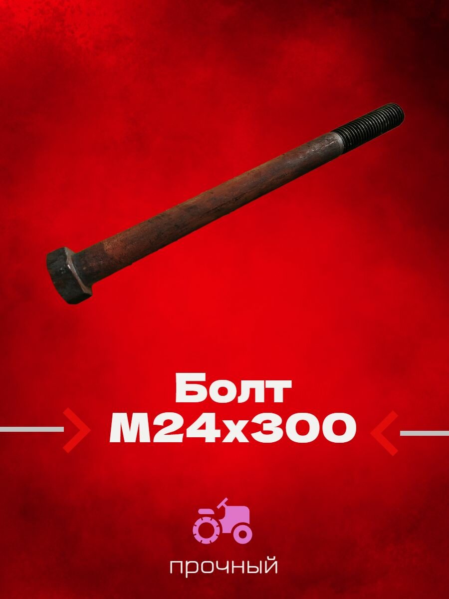 Винт 24 x 300 мм, 1 шт. 1000 г