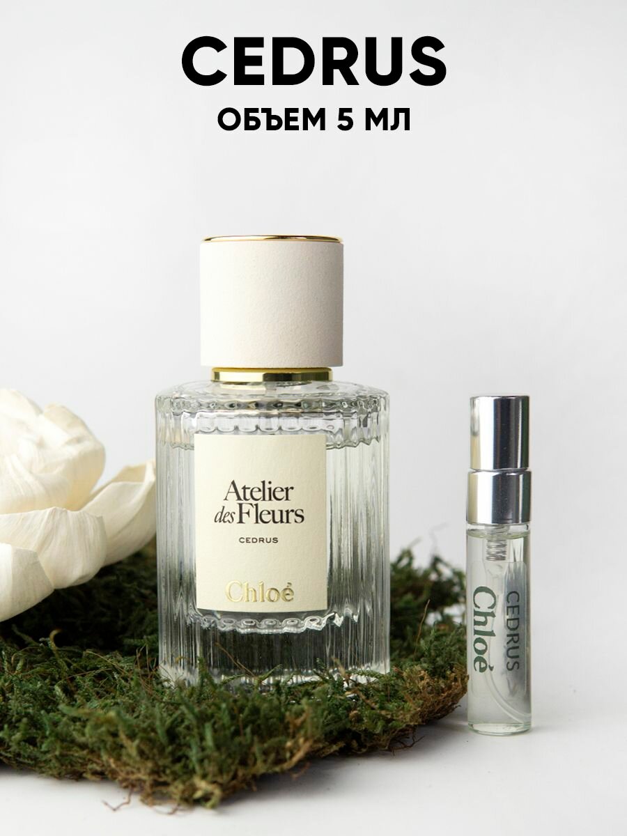 Духи Cedrus 5 мл