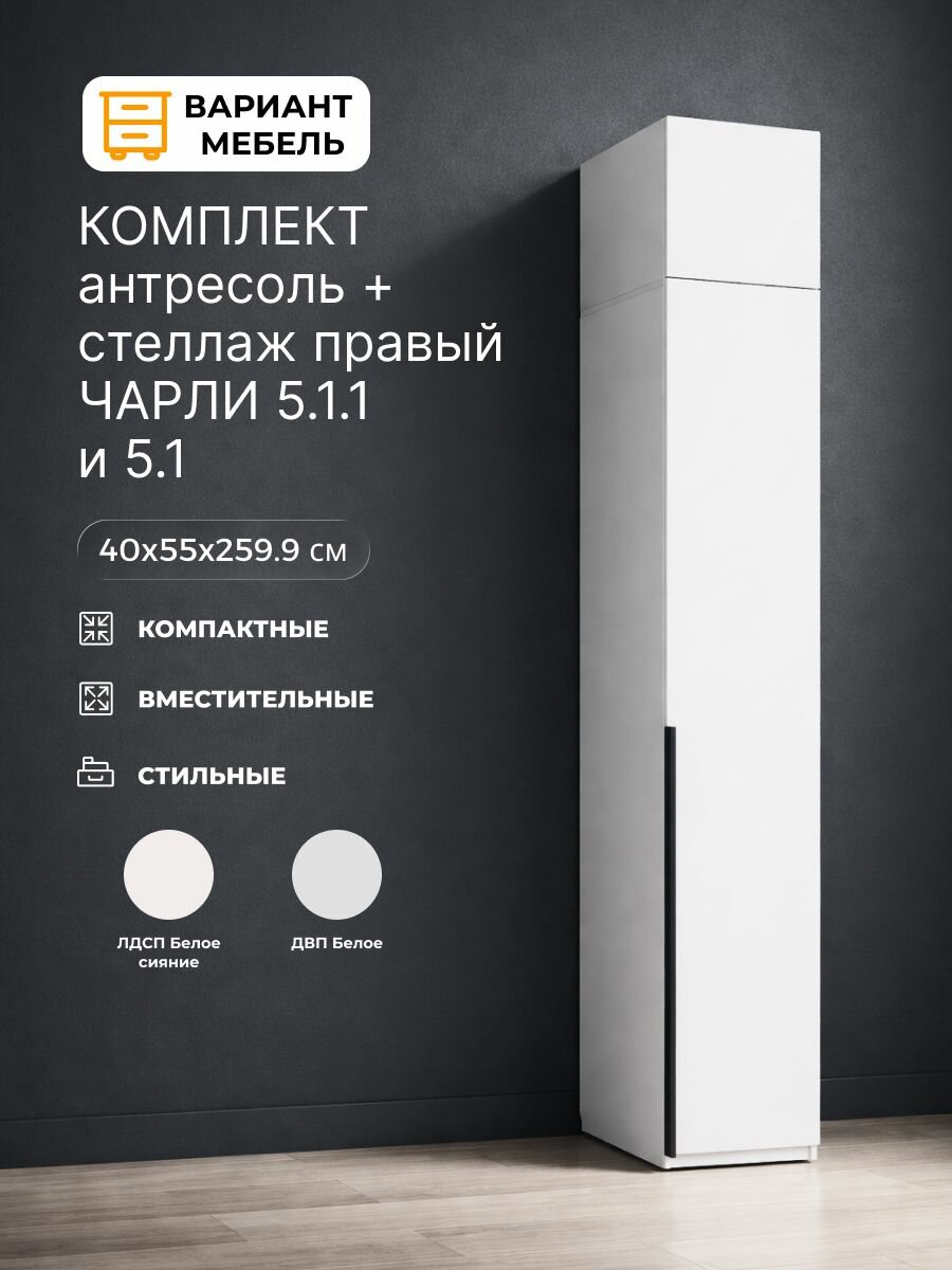 Шкаф-пенал Чарли 5.1 с антресолью 5.1.1 правый Белый Аквилон