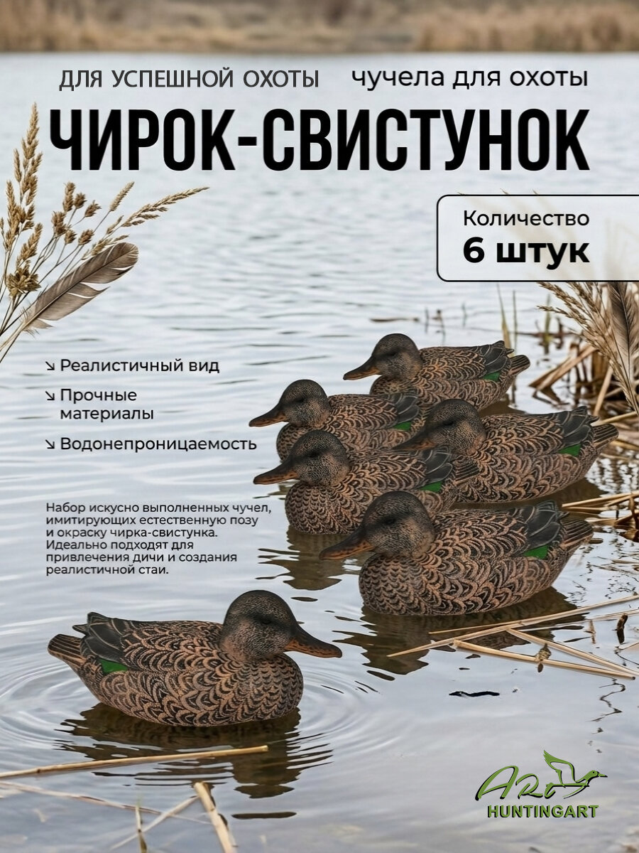 Чучело утки чирка, комплект 6шт, отдыхающий, реалистичный, высокая детализация