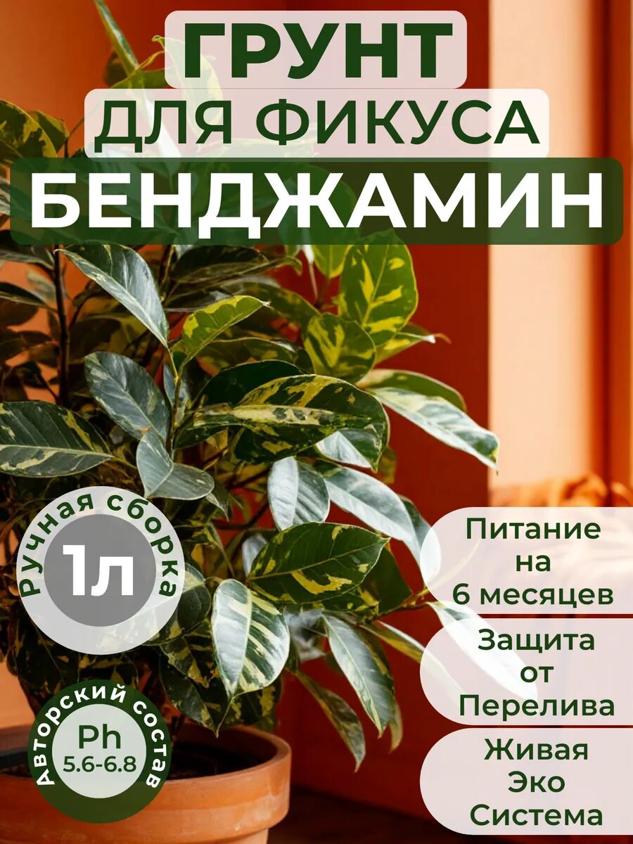 Готовый авторский грунт для фикуса Бенджамин, премиум 1 л