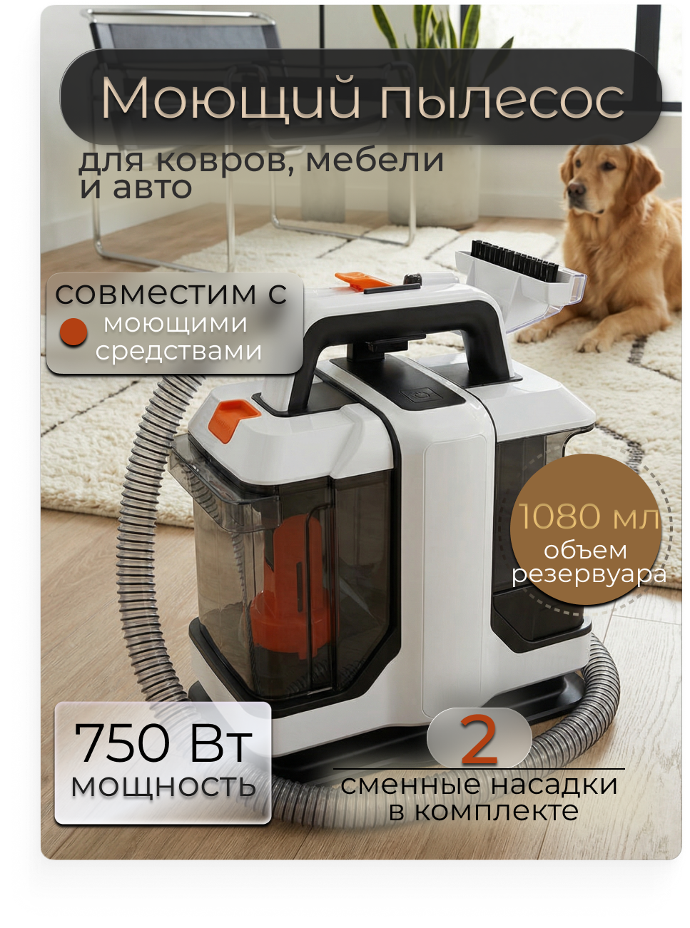 Моющий пылесос, для ковров, мебели, автомобилей, 750 Вт, 2 насадки, белый