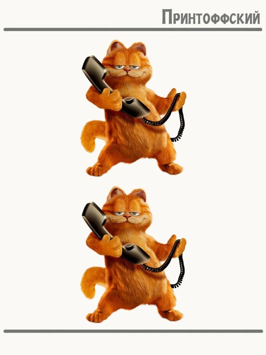 2-е (Две) Термонаклейки Cat Рыжий Кот С Телефоном