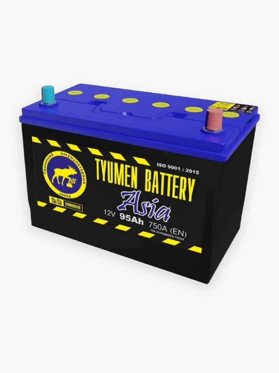 Аккумуляторная батарея TYUMEN BATTERY Тюмень asia 6ст -95.0 l TNSa95.0 обратная полярность для автомобилей легковых и грузовых кальциевая технология