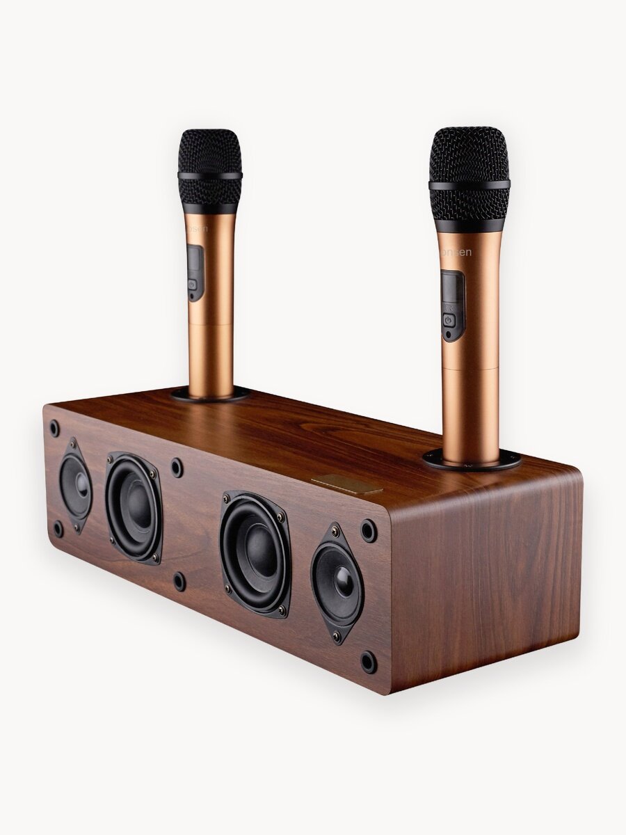 Караоке система для дома Jonsen PRO 2.1 с двумя профессиональными микрофонами, мощность 130Вт и Bluetooth