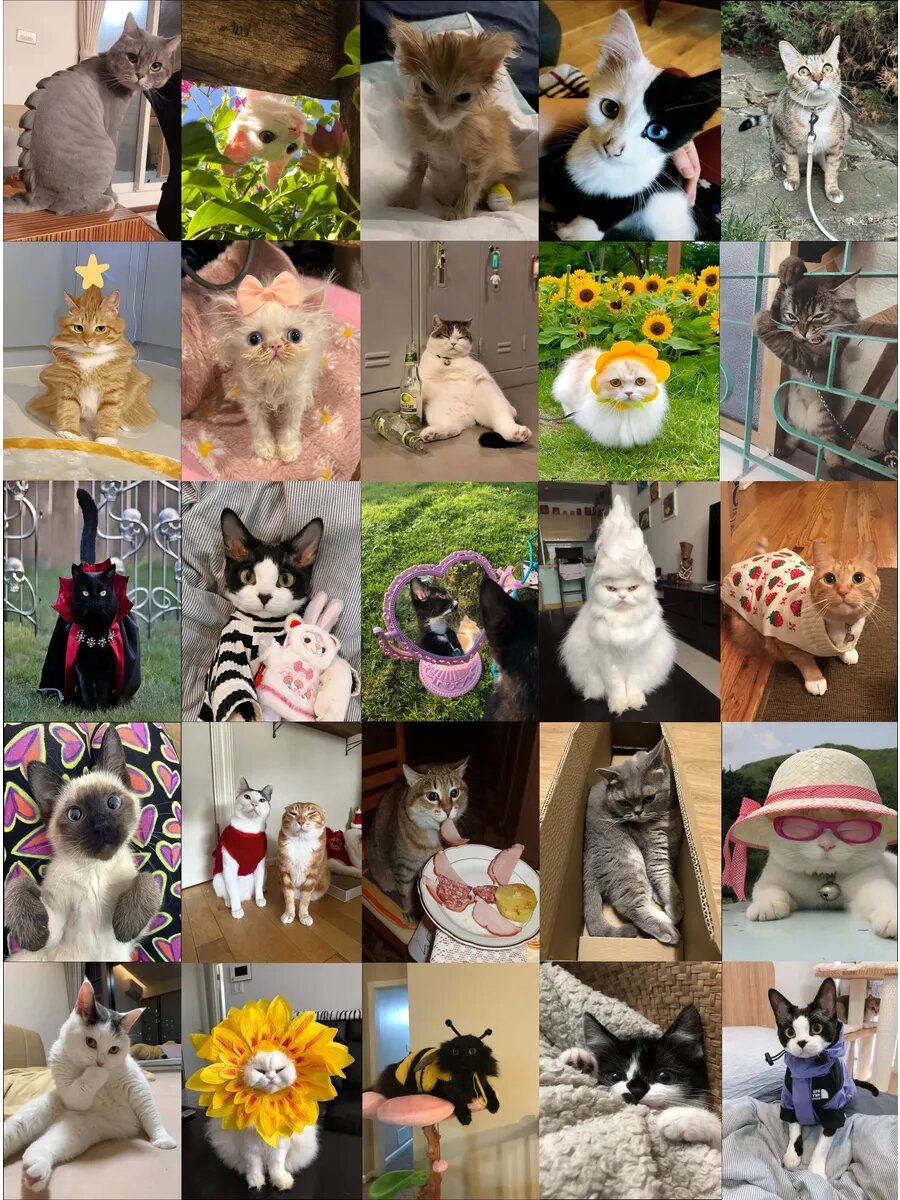 Постеры на стену котики — фото 1