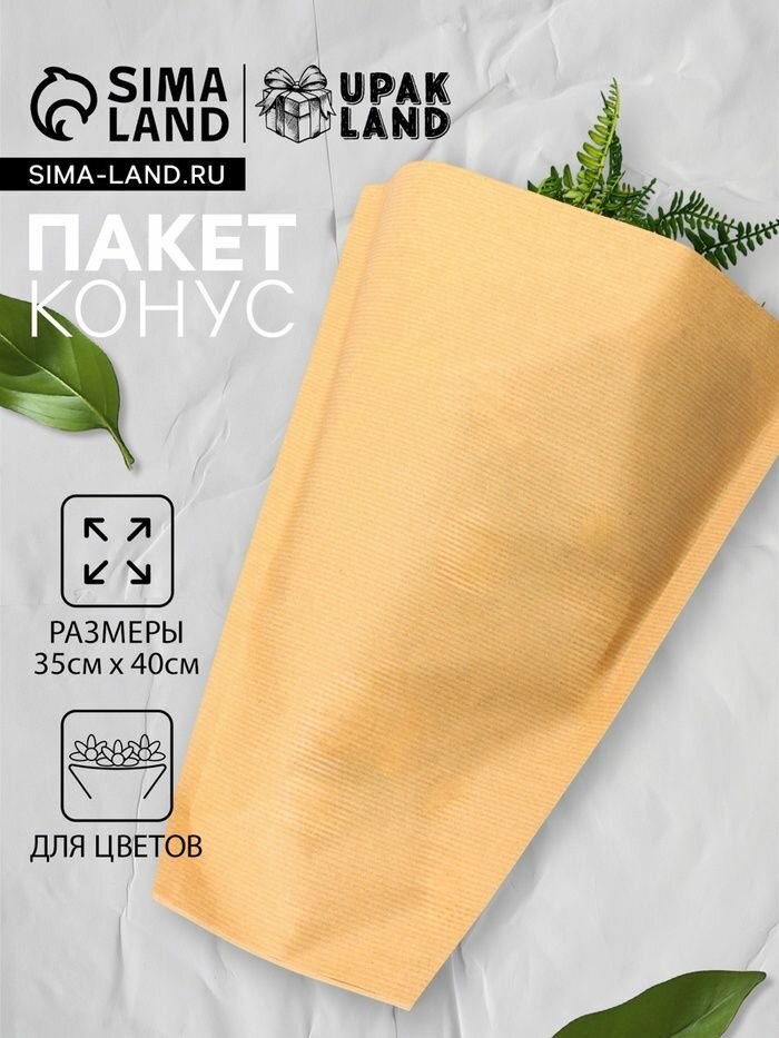 Пакет - конус крафт, для переноски цветов и букетов, 12+35 40 см