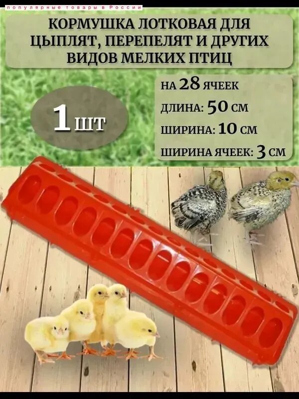 Лотковая кормушка для цыплят, перепелят и других мелких птиц, 50 см, 28 ячеек, красная, 1 шт