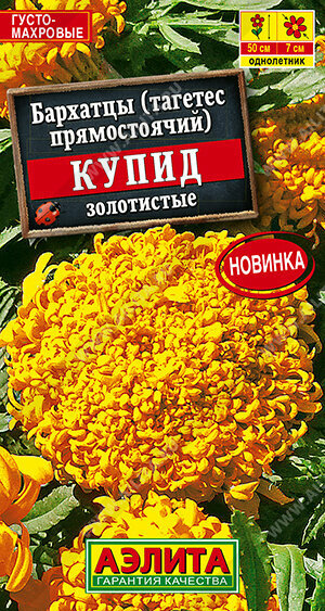 Семена бархатцев аэлита "Купид", хризантемовидный, золотистые, однолетние, 0,3 г