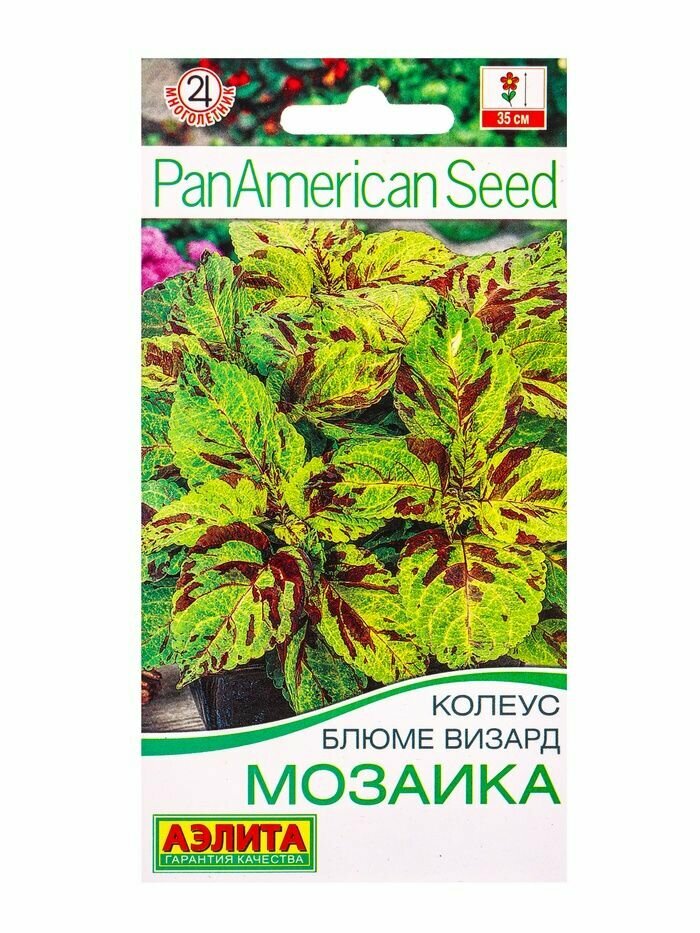 Семена цветов Колеус блюме Мозаика Мн Спецсерия PanAmerican, Ц/П,5 шт.
