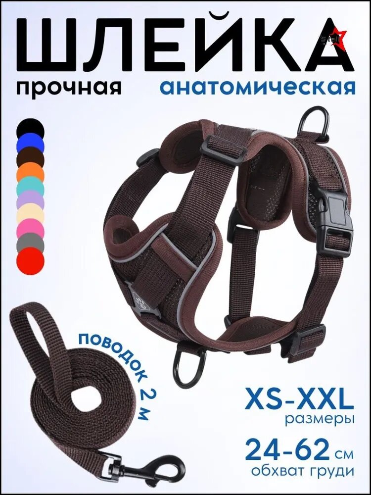 Эксклюзивная амуниция для выгула