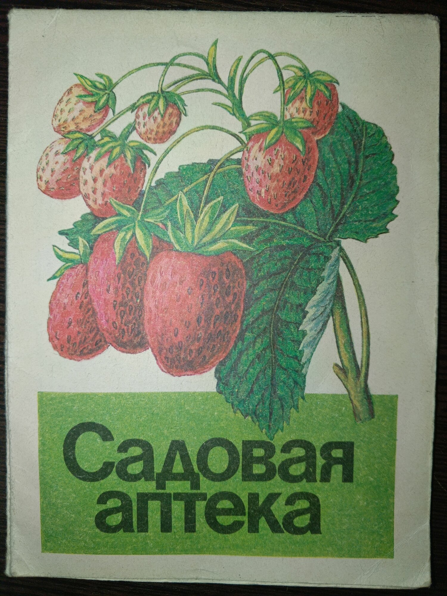 Садовая аптека (Развертывается в один большой лист, брошюра)