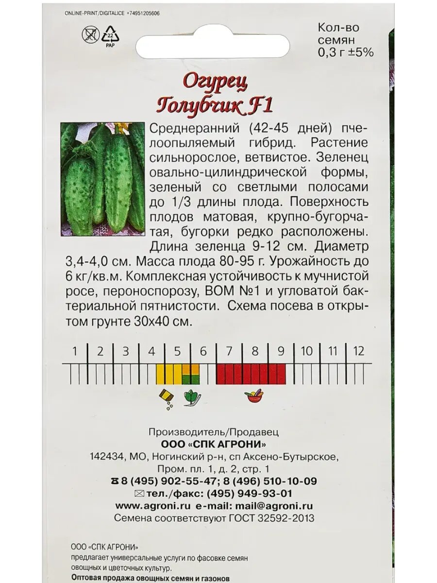 Семена огурец Голубчик — фото 1